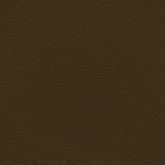 GM Cars Leather Vinyl Dye Color Chart – Leather World Technologies