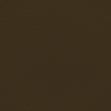 GM Cars Leather Vinyl Dye Color Chart – Leather World Technologies