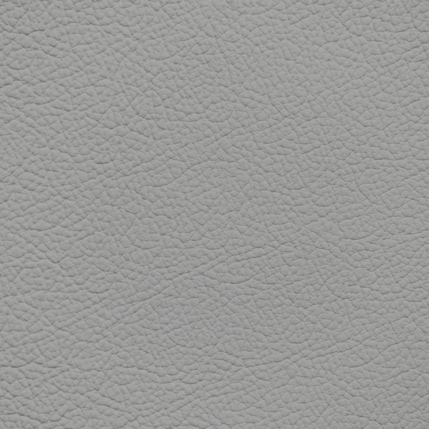 BMW Alaska Gray Leather Dye – Leather World Technologies