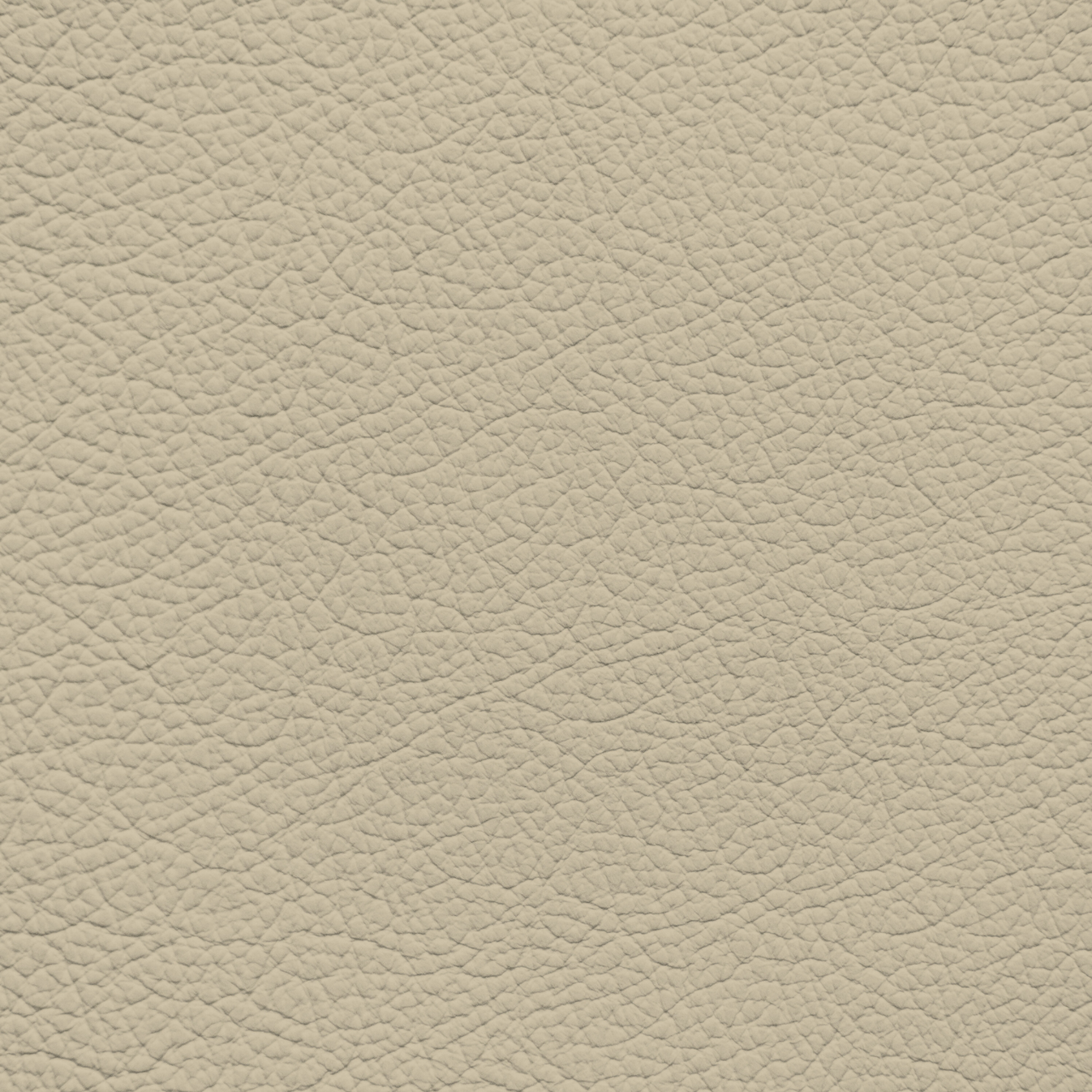 Nissan Almond Leather Dye – Leather World Technologies