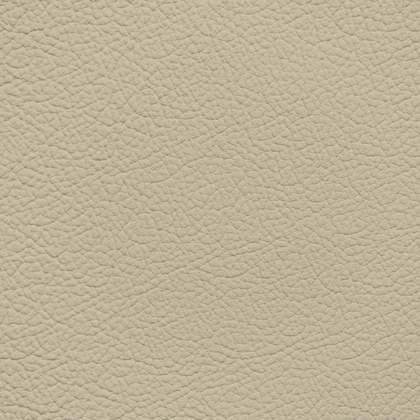 Nissan Almond Leather Dye – Leather World Technologies