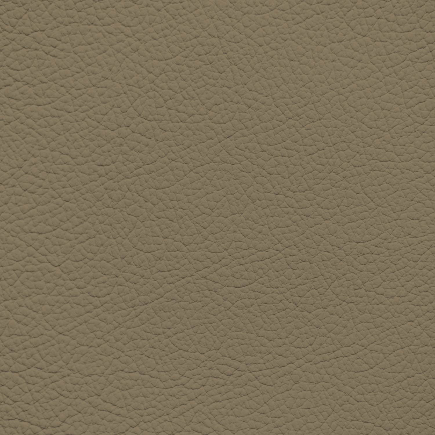 BMW Leather Vinyl Dye Color Chart – Leather World Technologies