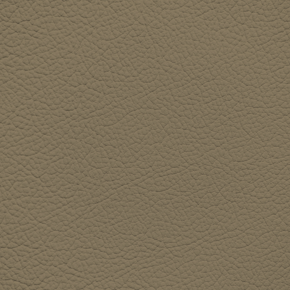 BMW Leather Vinyl Dye Color Chart – Leather World Technologies
