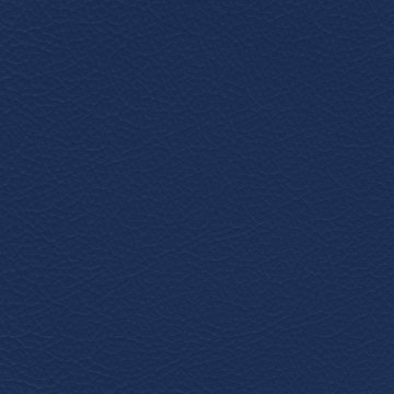 GM Cars Leather Vinyl Dye Color Chart – Leather World Technologies