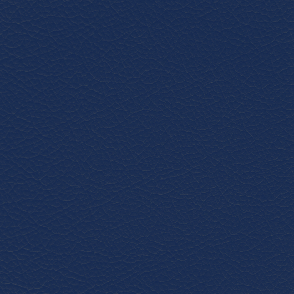 GM Cars Leather Vinyl Dye Color Chart – Leather World Technologies