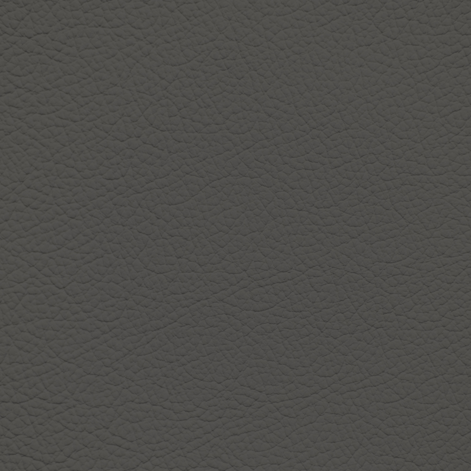 BMW Titanium Leather Dye – Leather World Technologies