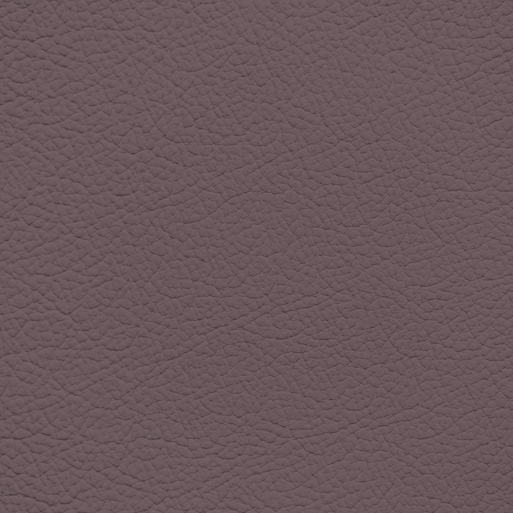 BMW Leather Vinyl Dye Color Chart – Leather World Technologies