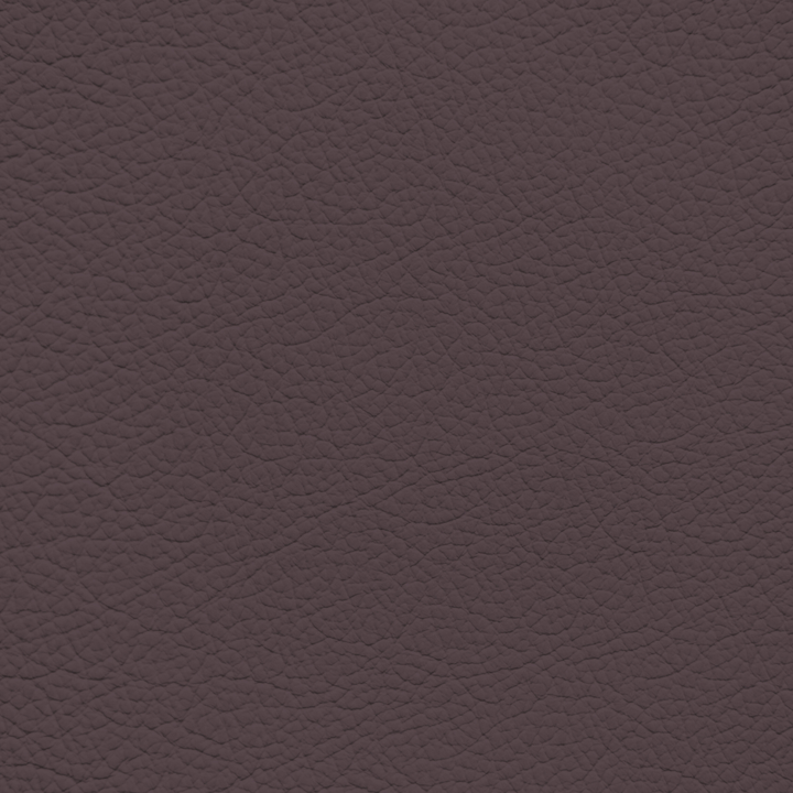 BMW Leather Vinyl Dye Color Chart – Leather World Technologies