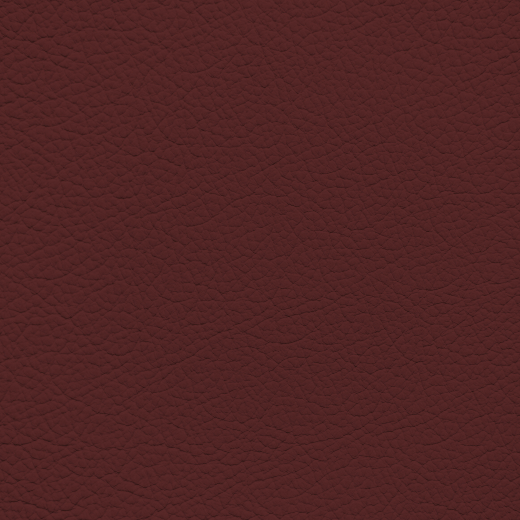 BMW Leather Vinyl Dye Color Chart – Leather World Technologies