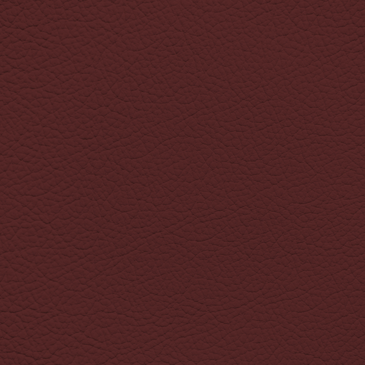 BMW Leather Vinyl Dye Color Chart – Leather World Technologies