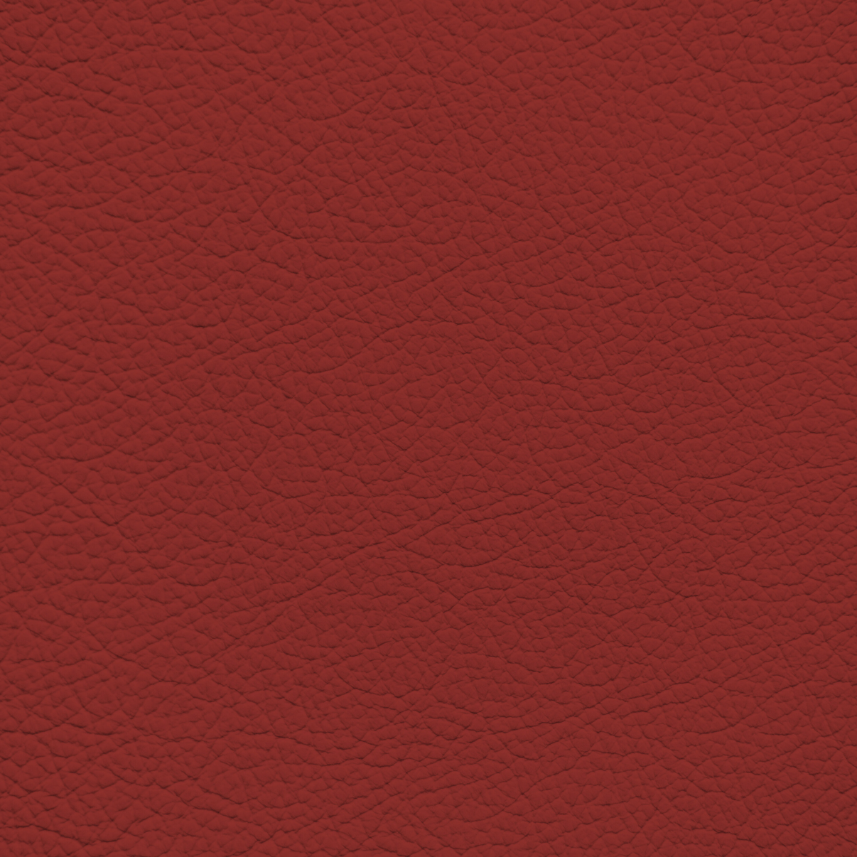 BMW Fiona Red Leather Dye – Leather World Technologies