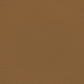 GM Cars Leather Vinyl Dye Color Chart – Leather World Technologies
