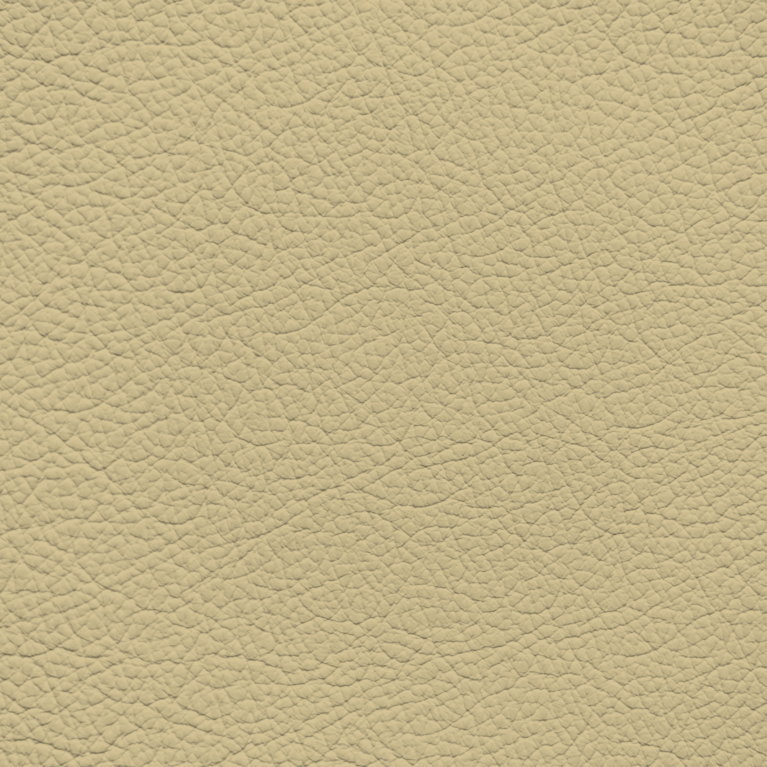 Audi Beige - Tottone Leather Dye – Leather World Technologies