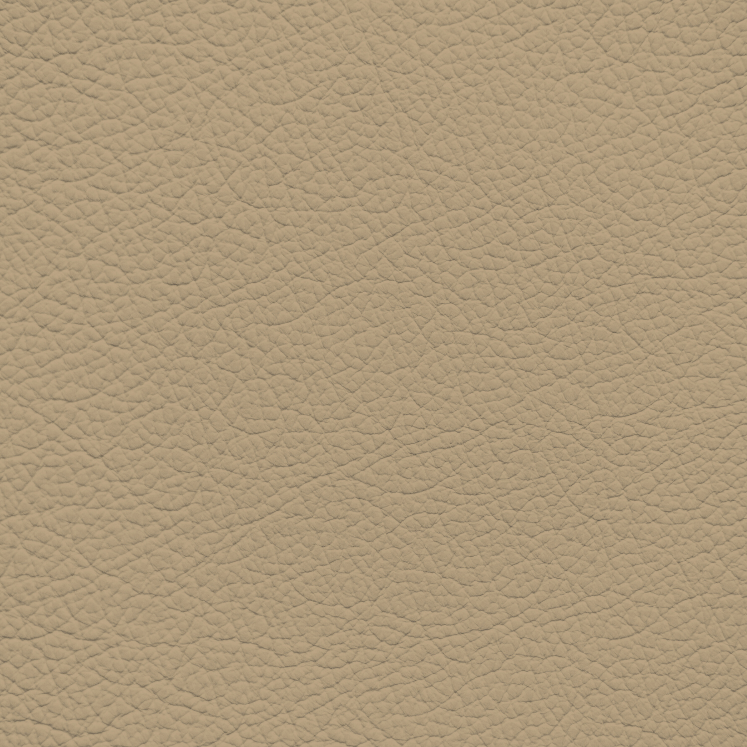 Mazda/Mitsubishi Beige Leather Dye – Leather World Technologies