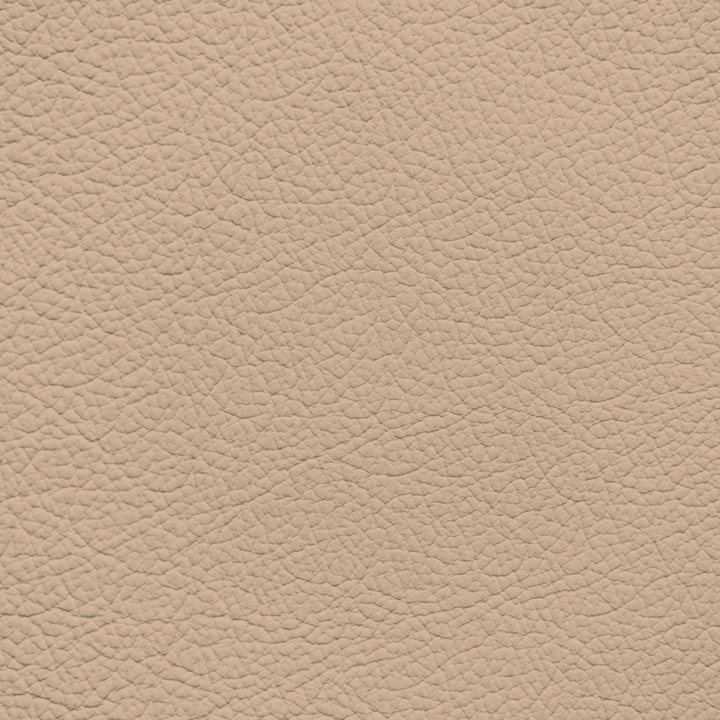 BMW Leather Vinyl Dye Color Chart – Leather World Technologies