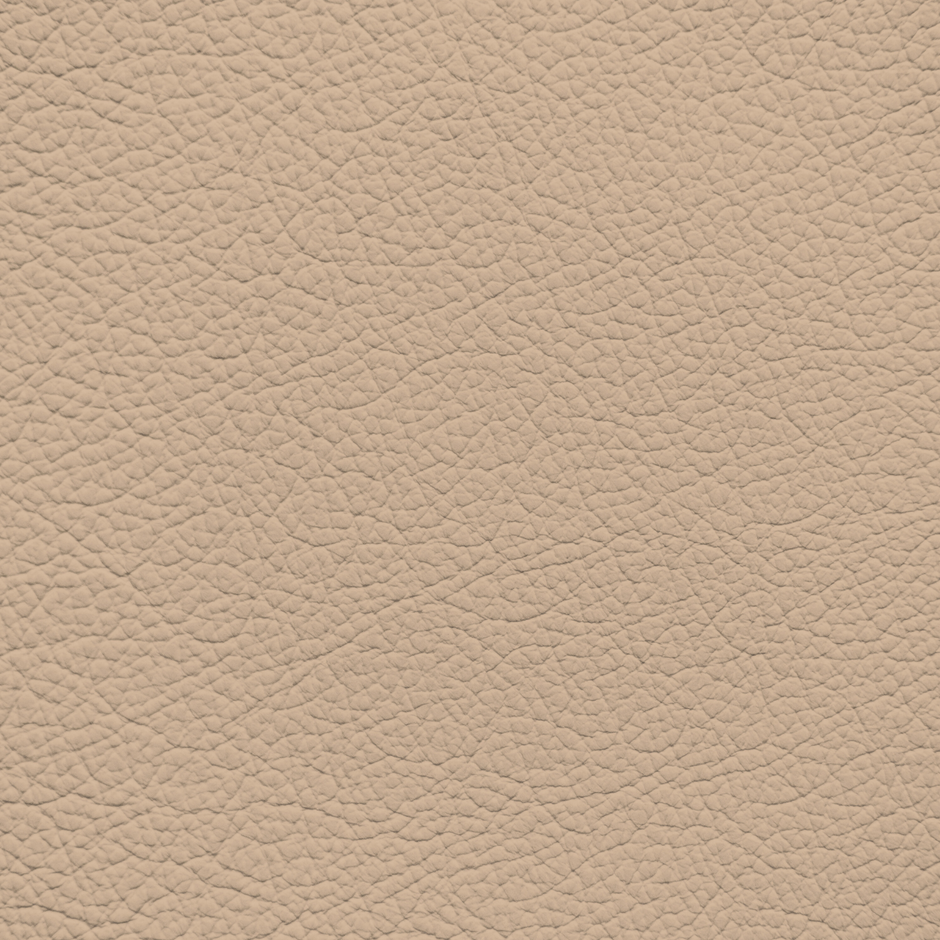 BMW Leather Vinyl Dye Color Chart – Leather World Technologies