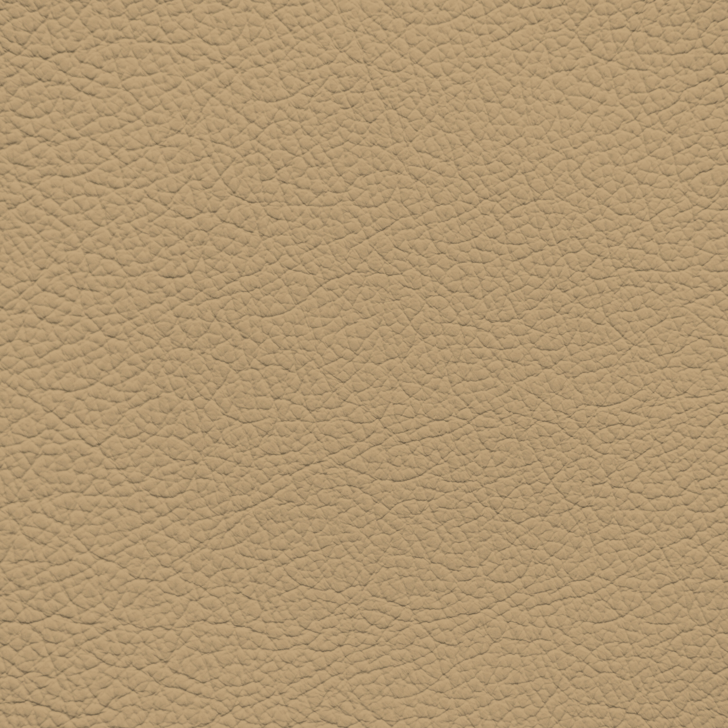 Porsche Beige (Vinyl) Leather Dye – Leather World Technologies