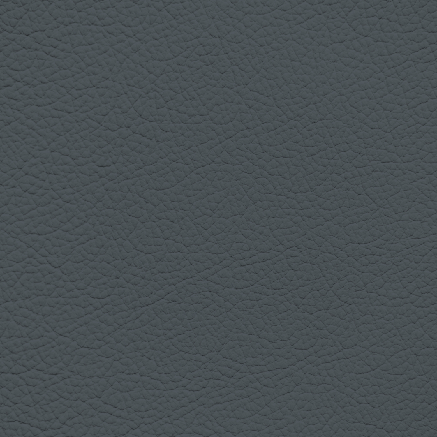 Ford/Lincoln/Mercury Beyond Blue Leather Dye – Leather World Technologies