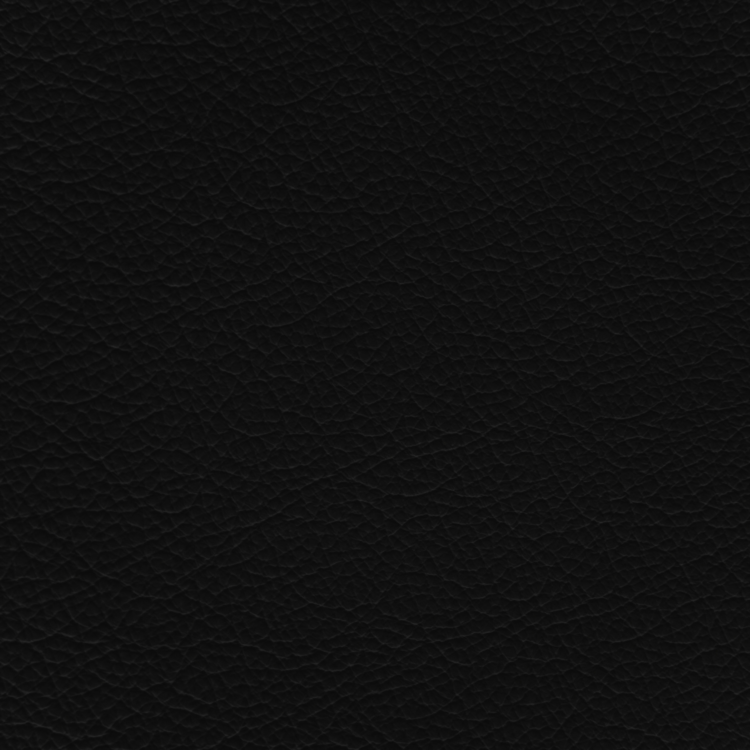 Audi Blacque/Ebony Leather Dye – Leather World Technologies