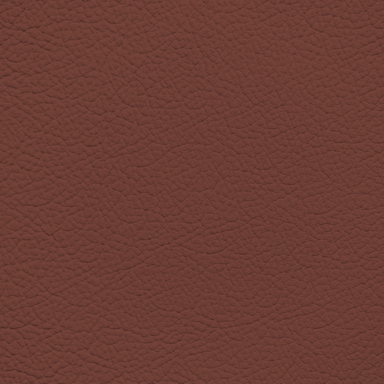 Ford/Lincoln/Mercury Brick Red Leather Dye – Leather World Technologies