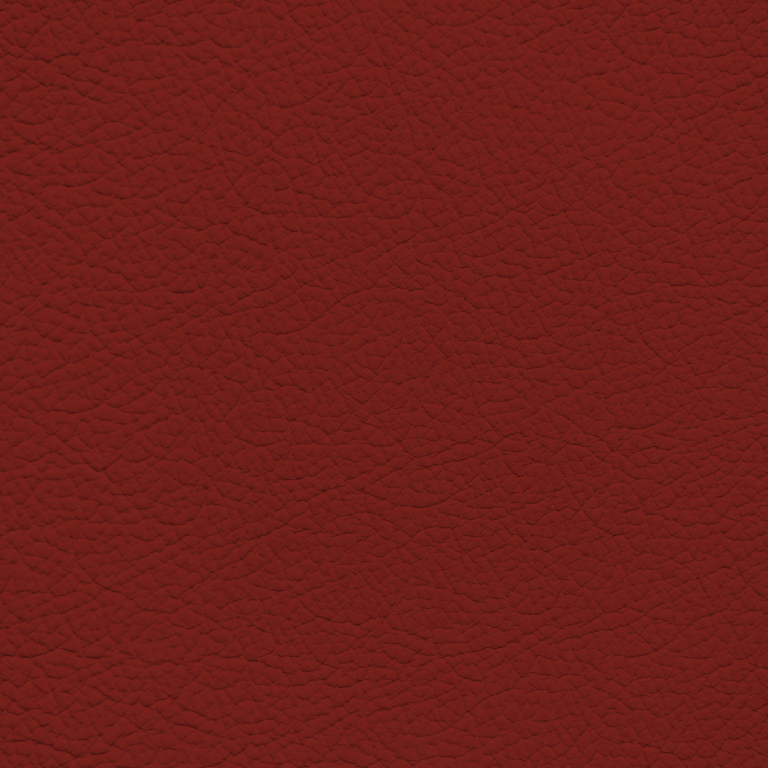 Toyota Camry Red Leather Dye – Leather World Technologies