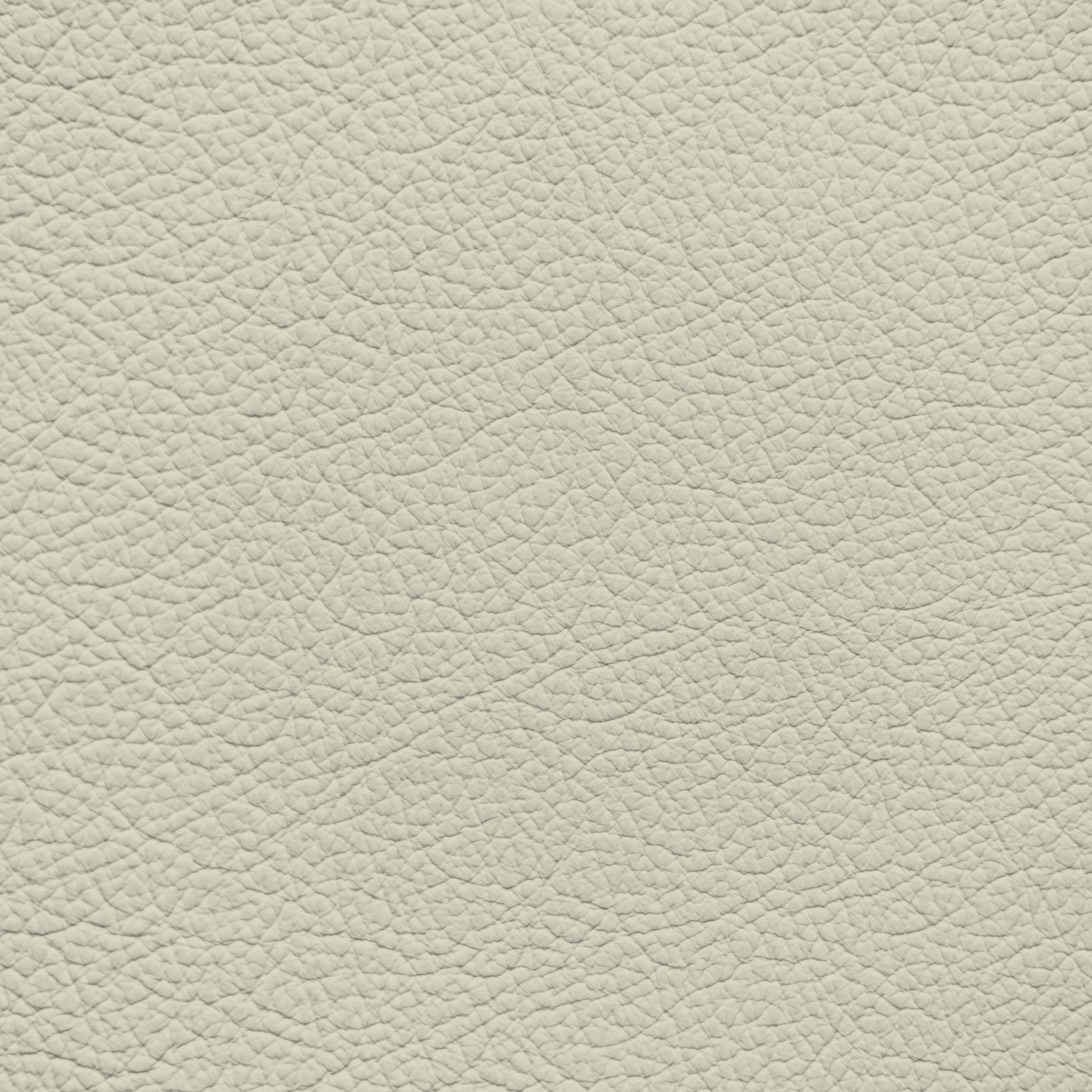 BMW Canberra Beige Leather Dye – Leather World Technologies