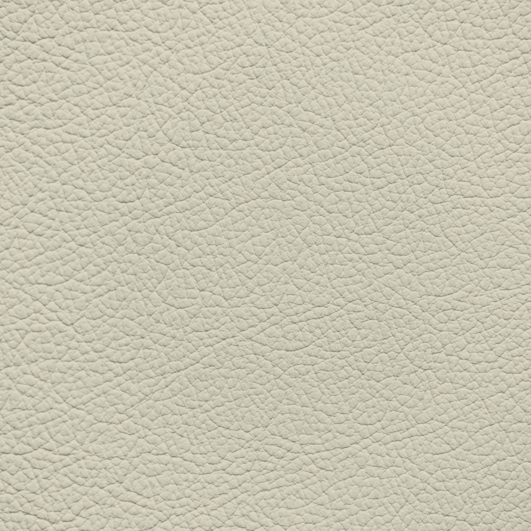 BMW Leather Vinyl Dye Color Chart – Leather World Technologies