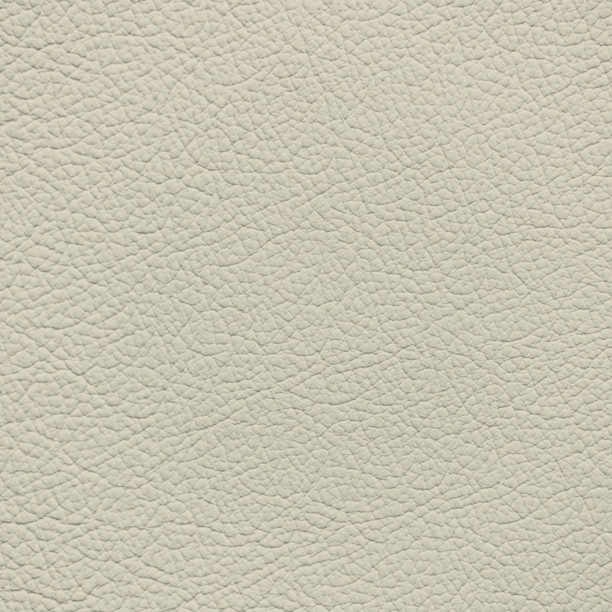 BMW Canberra Beige Leather Dye – Leather World Technologies