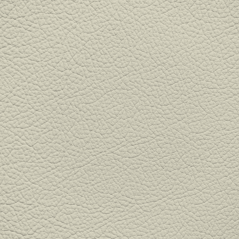 BMW Canberra Beige Leather Dye – Leather World Technologies