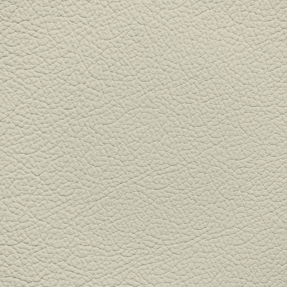 BMW Canberra Beige Leather Dye – Leather World Technologies