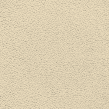 GM Cars Leather Vinyl Dye Color Chart – Leather World Technologies