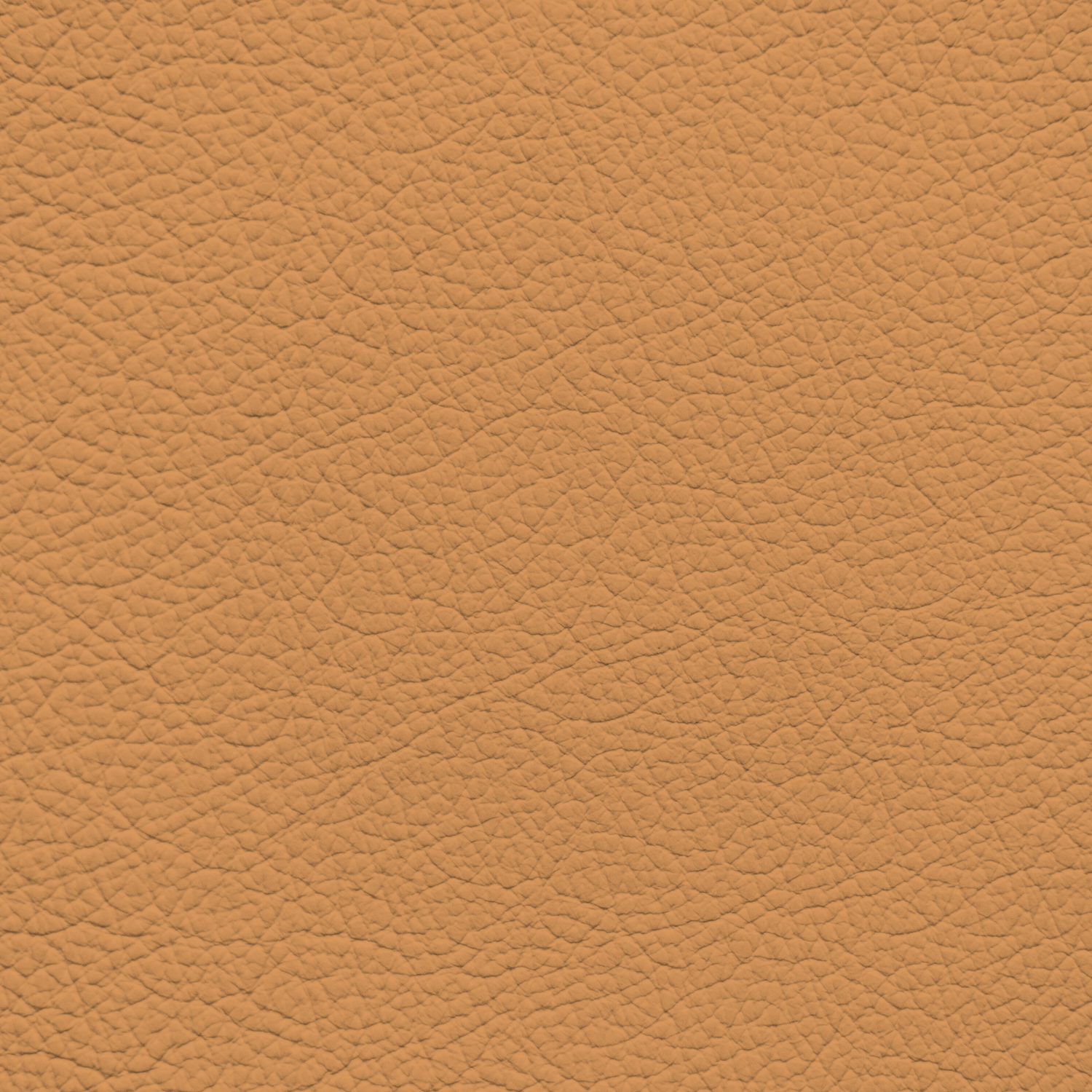 BMW Leather Vinyl Dye Color Chart – Leather World Technologies
