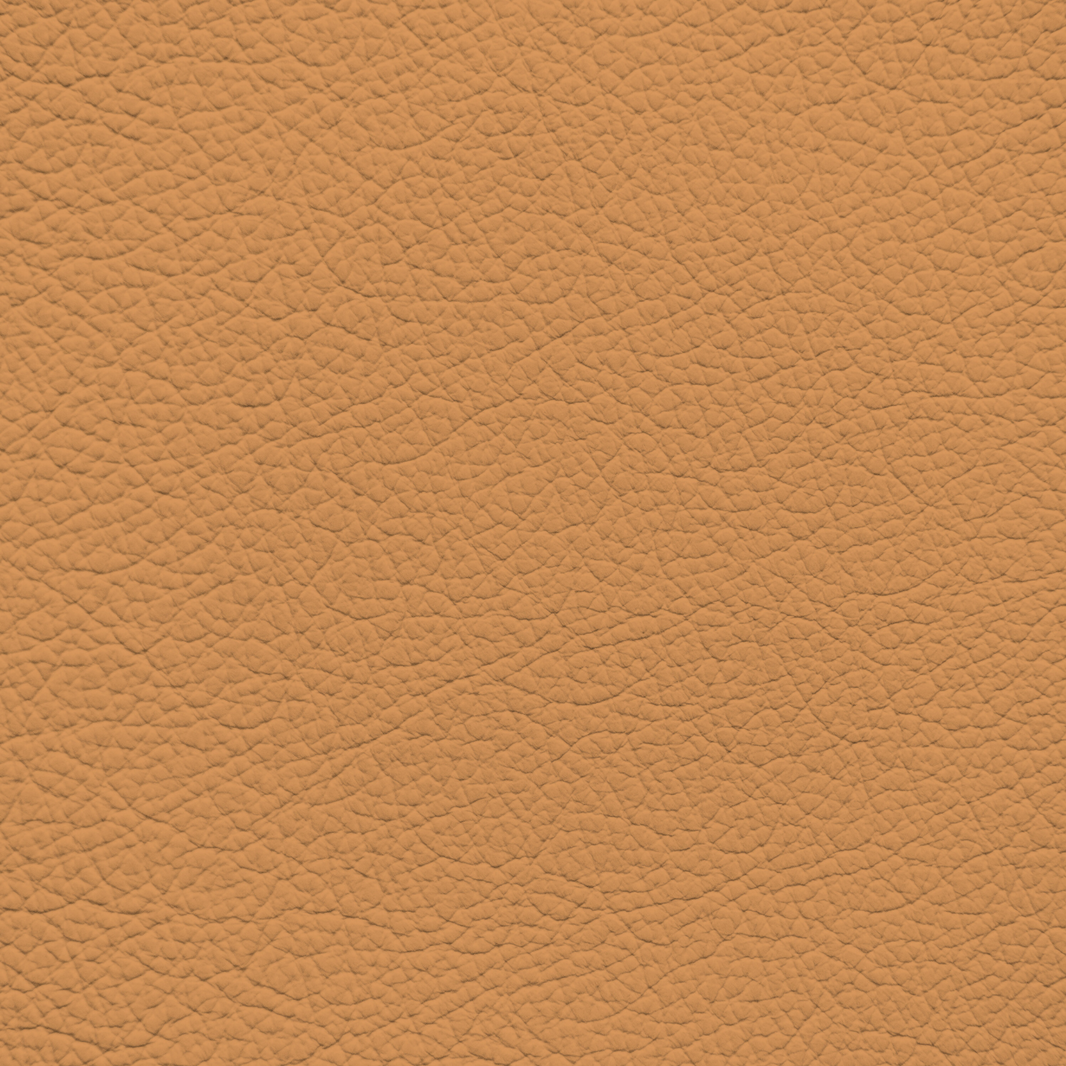 BMW Leather Vinyl Dye Color Chart – Leather World Technologies