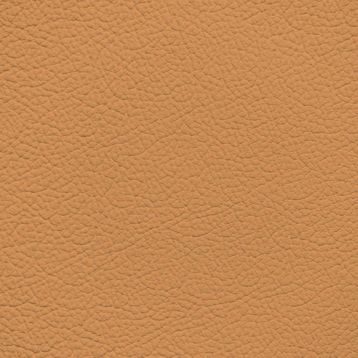 BMW Leather Vinyl Dye Color Chart – Leather World Technologies