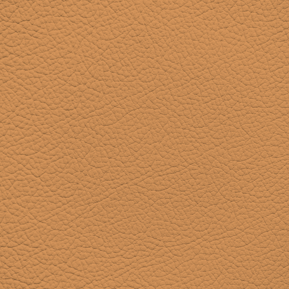 BMW Leather Vinyl Dye Color Chart – Leather World Technologies