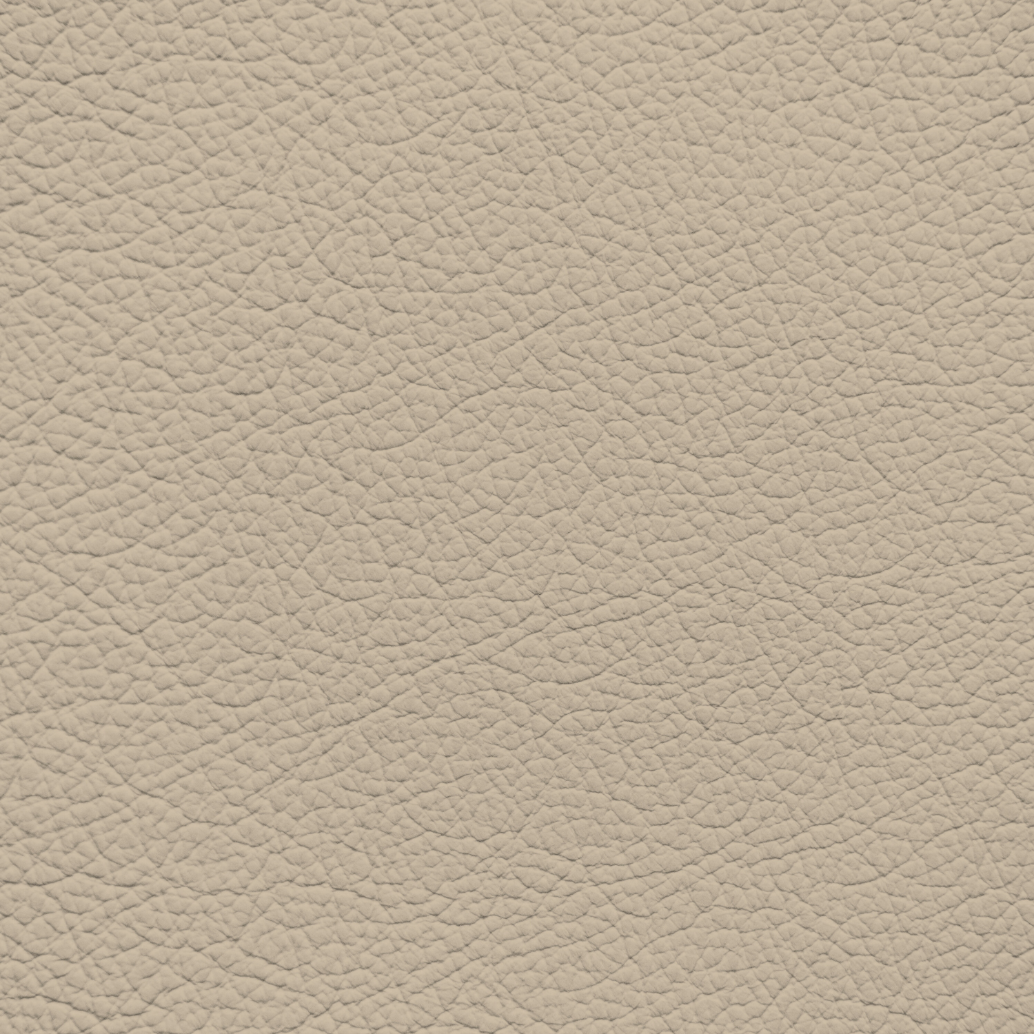Audi Cardamom Beige Leather Dye – Leather World Technologies