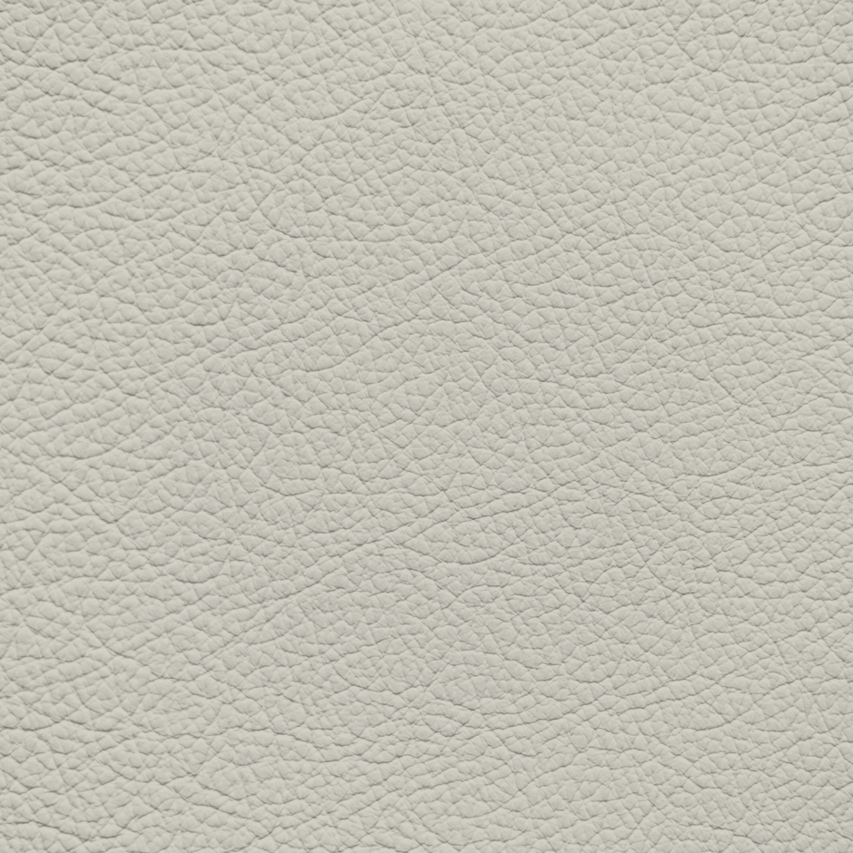 Nissan Leather Vinyl Dye Color Chart – Leather World Technologies