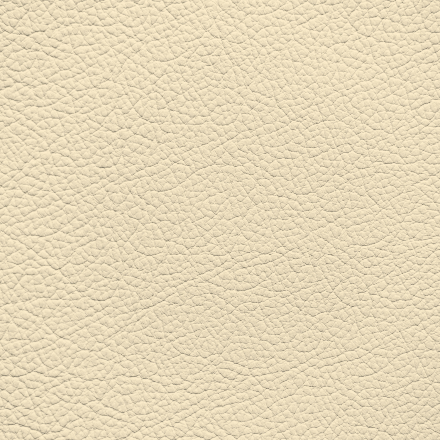 BMW Champagne Leather Dye – Leather World Technologies