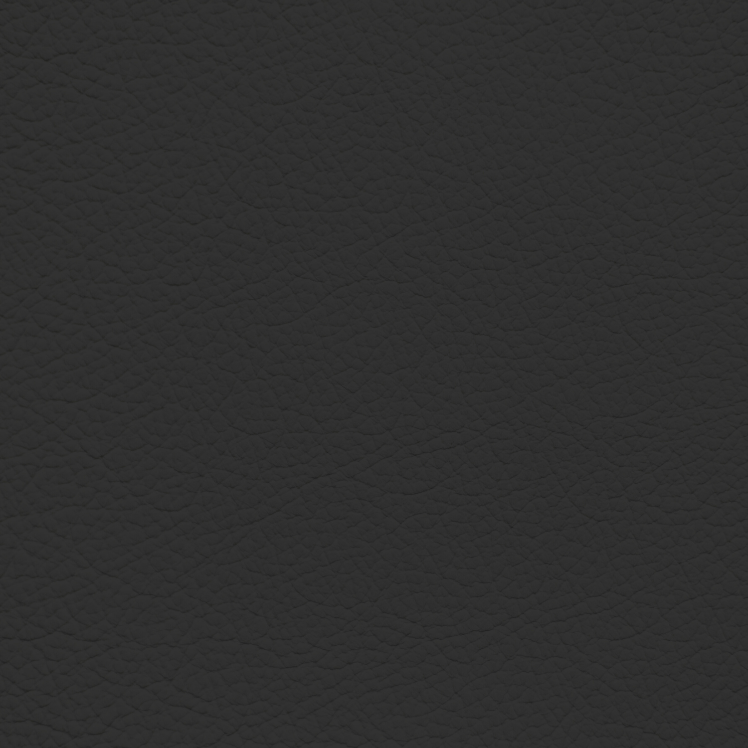 Lexus Charcoal Black Leather Dye – Leather World Technologies