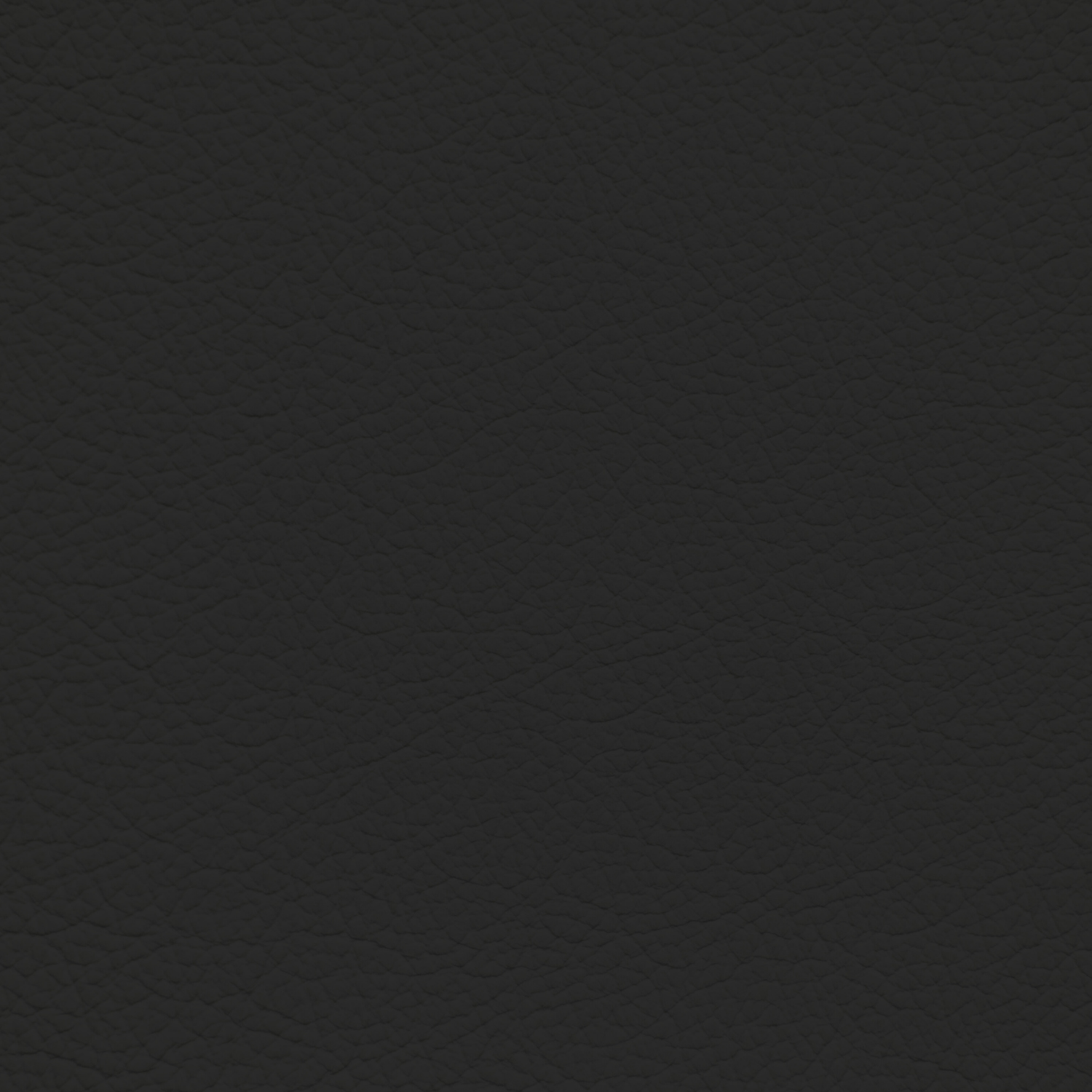 Mercedes Charcoal Leather Dye – Leather World Technologies