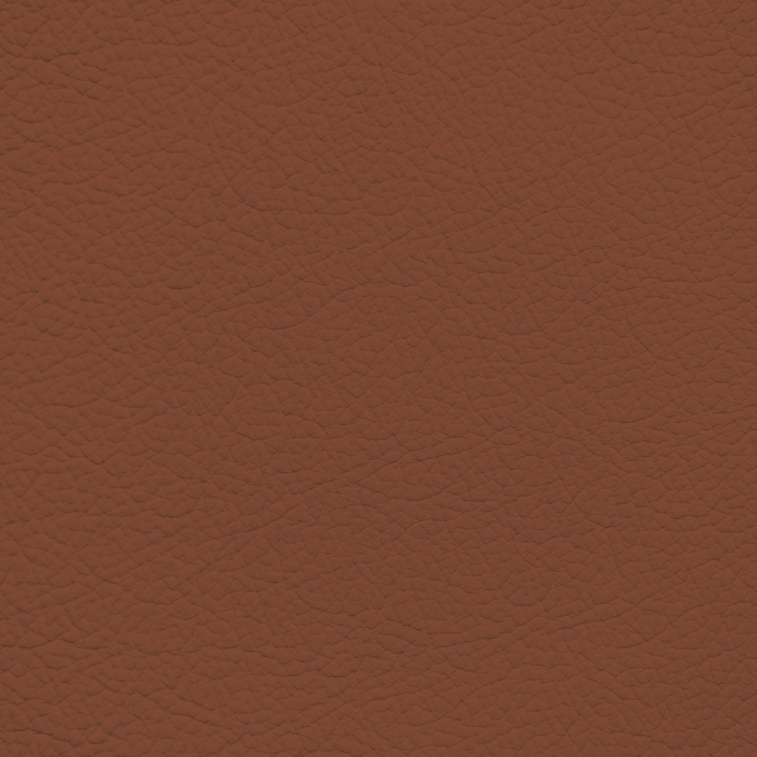 BMW Chestnut Brown Leather Dye – Leather World Technologies