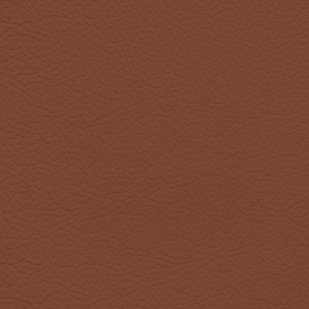 BMW Chestnut Brown Leather Dye – Leather World Technologies