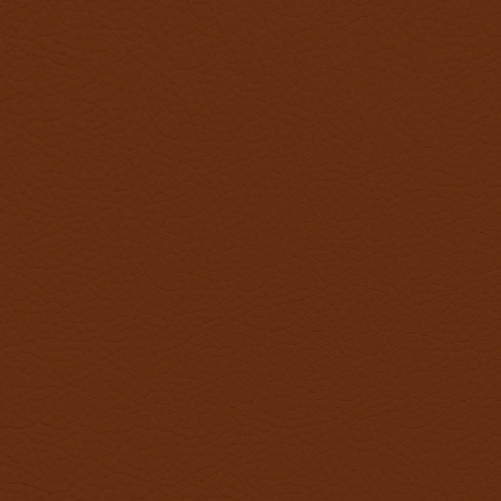 Porsche Chestnut Brown Leather Dye – Leather World Technologies