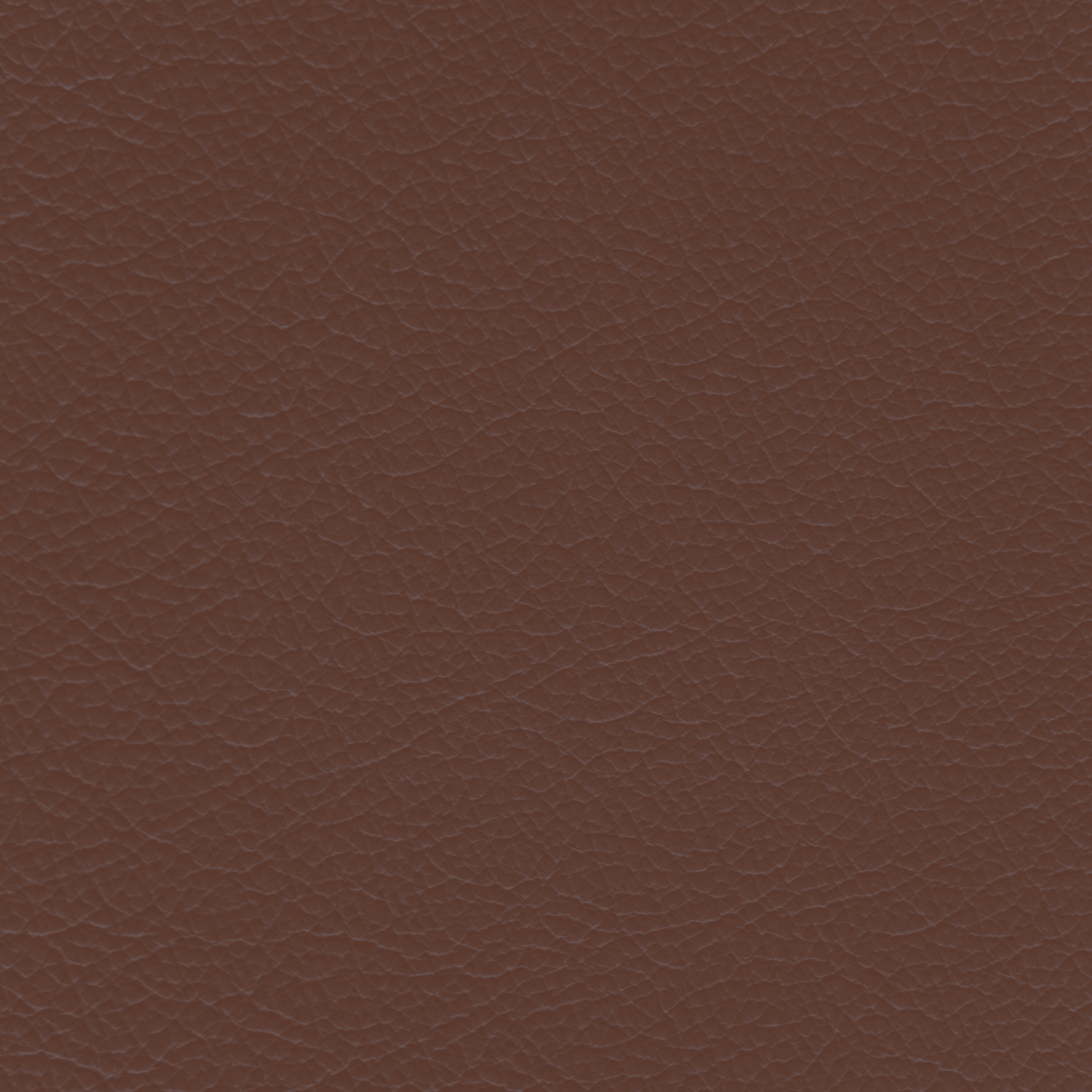 Ford/Lincoln/Mercury Chestnut Leather Dye – Leather World Technologies