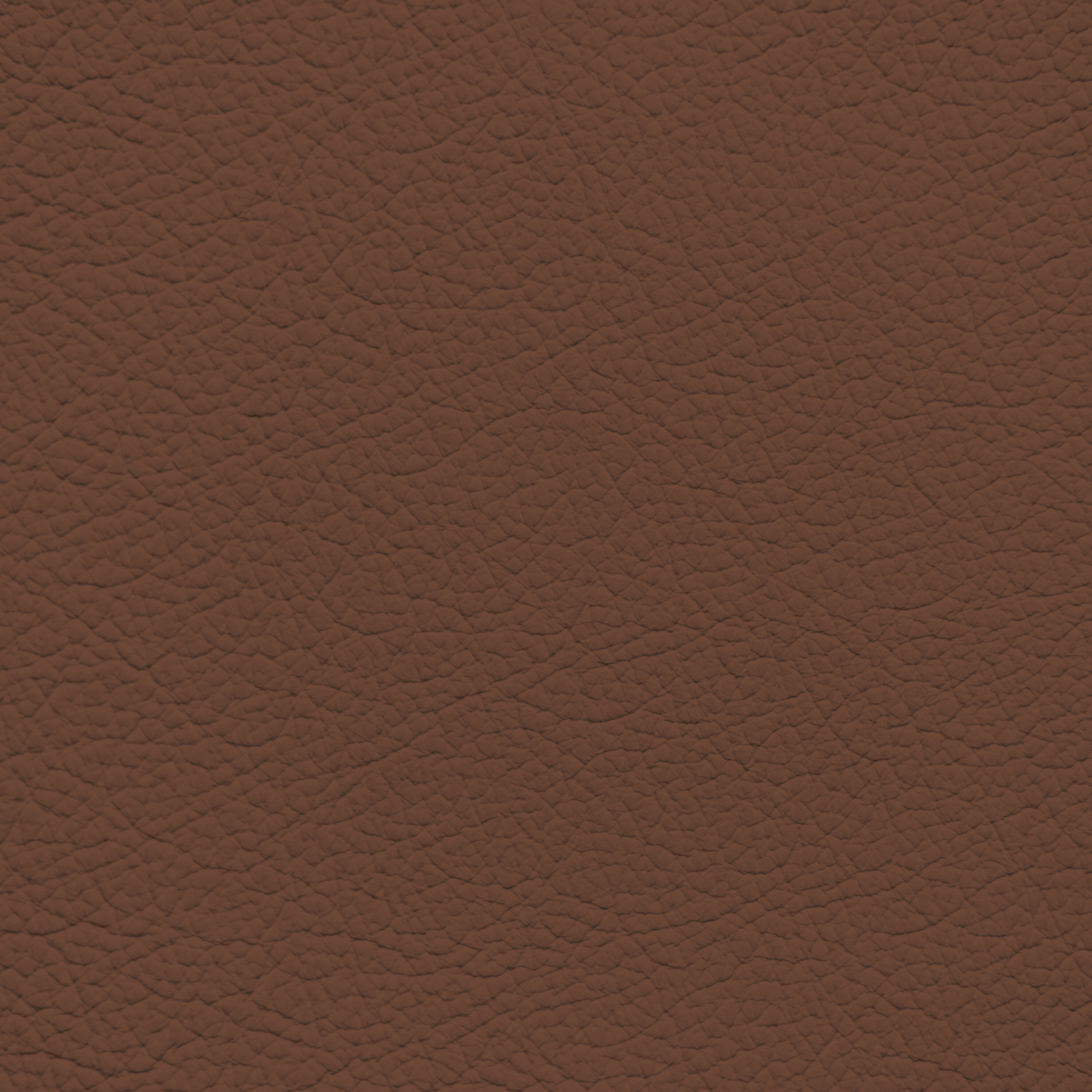 BMW Cinnamon Brown Leather Dye – Leather World Technologies