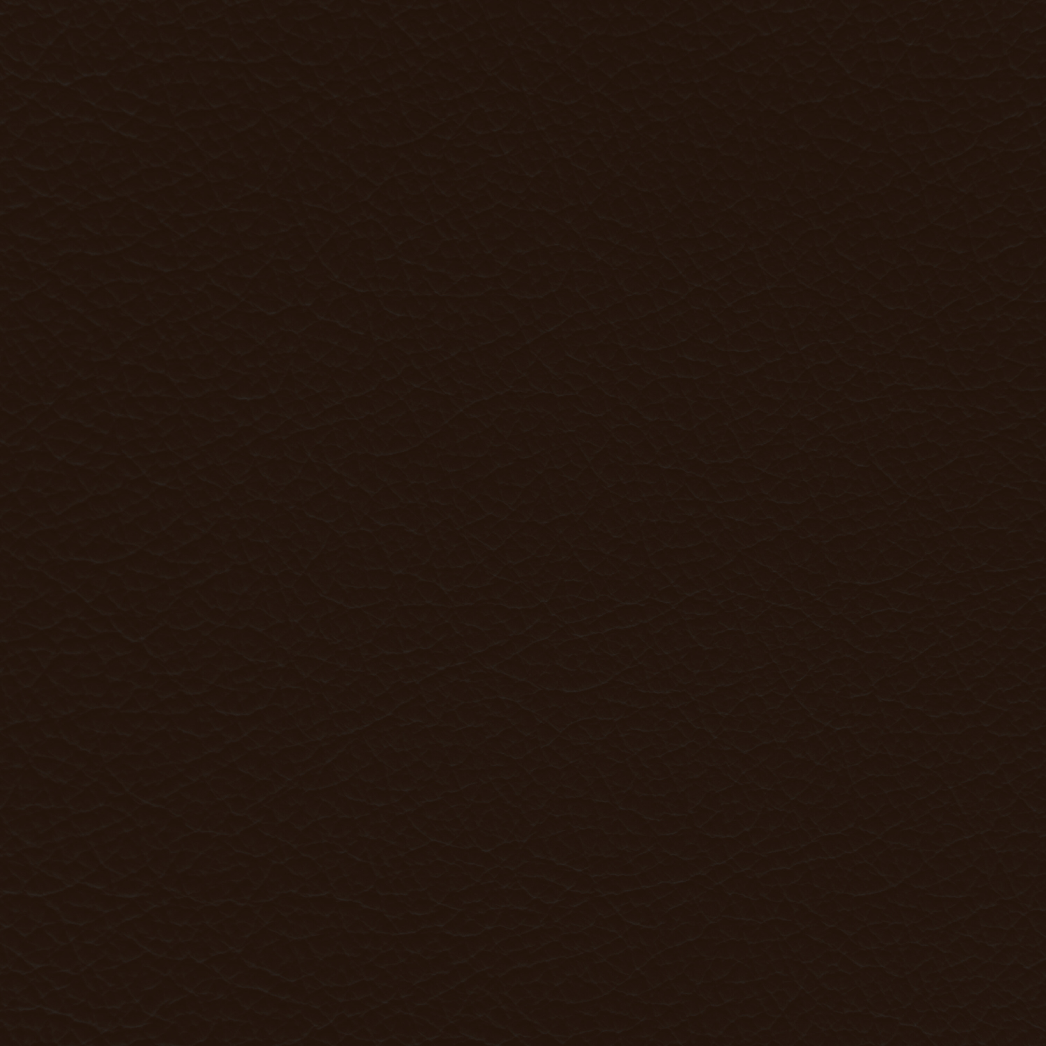 GM Cocoa Leather Dye – Leather World Technologies