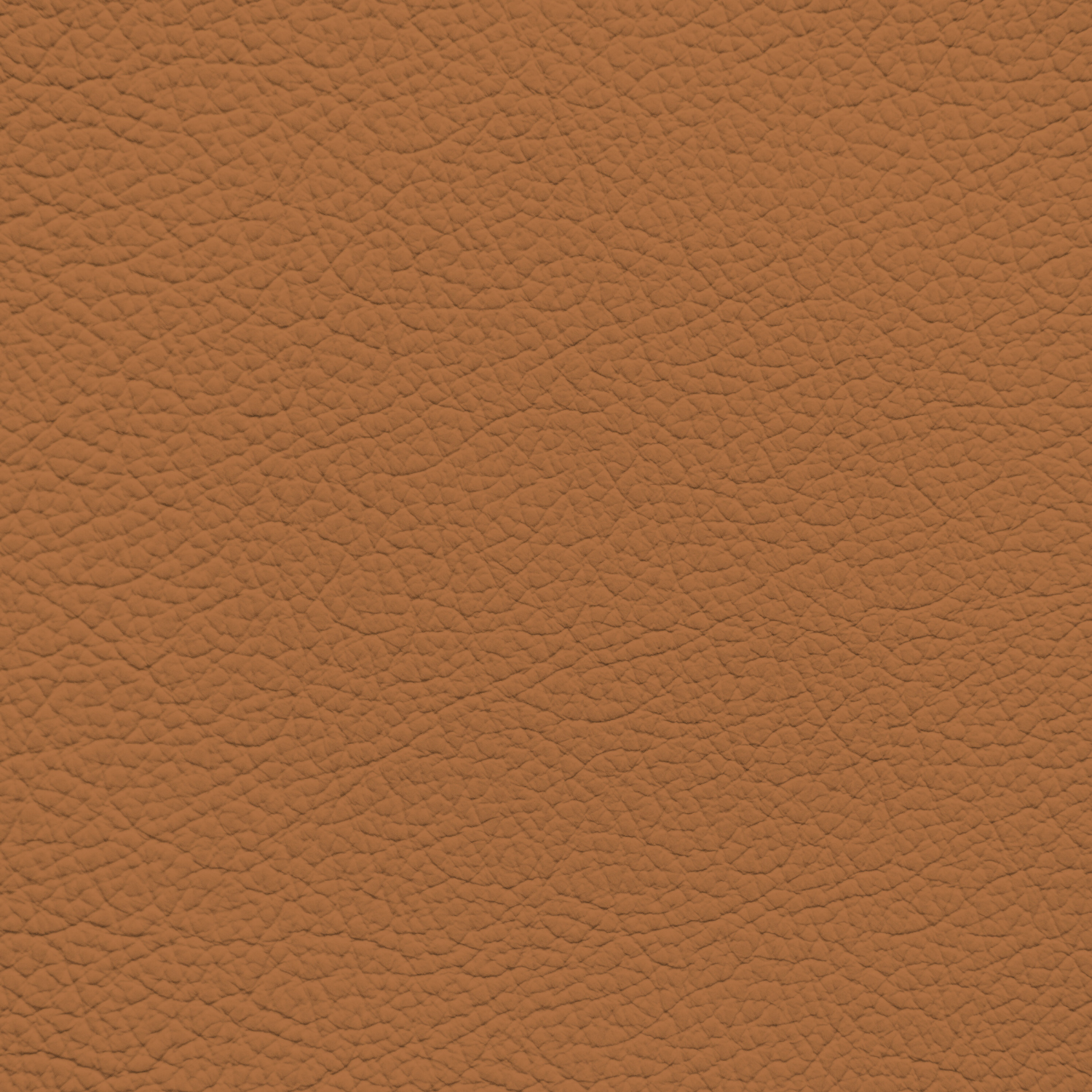 BMW Cognac Leather Dye – Leather World Technologies