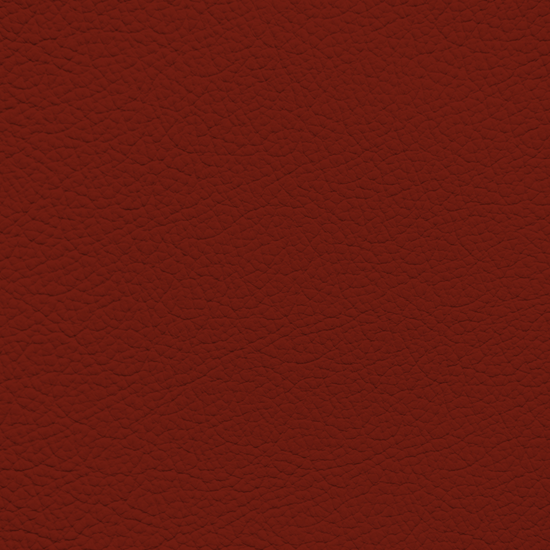 GM Corvette Red Leather Dye – Leather World Technologies
