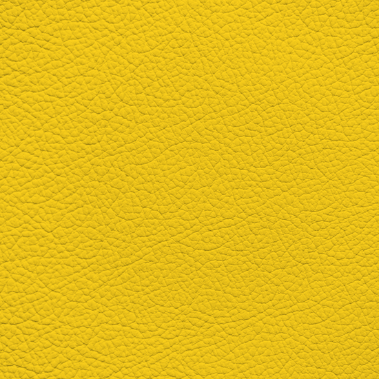 GM Corvette Yellow Leather Dye – Leather World Technologies