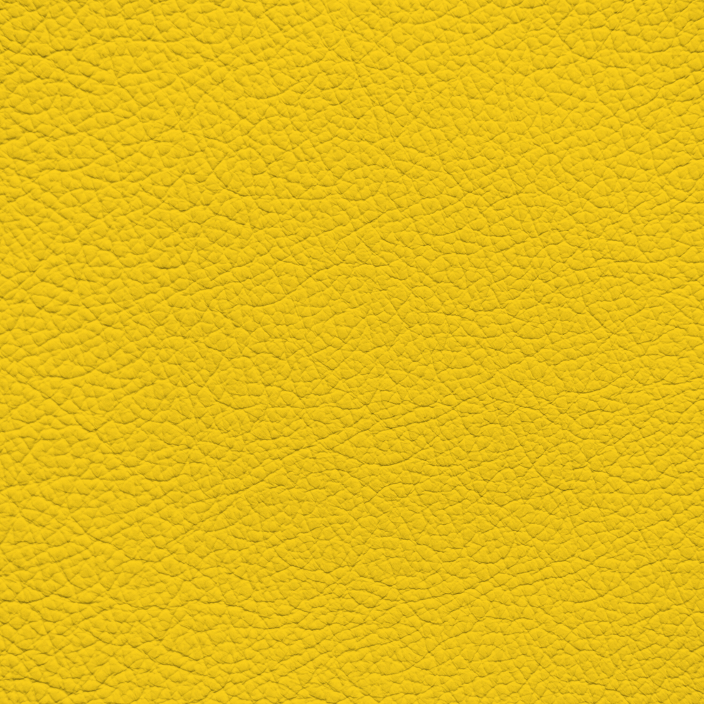 GM Corvette Yellow Leather Dye – Leather World Technologies